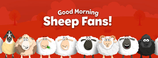 THE SHEEP GAME Merchandise – The Sheep Game