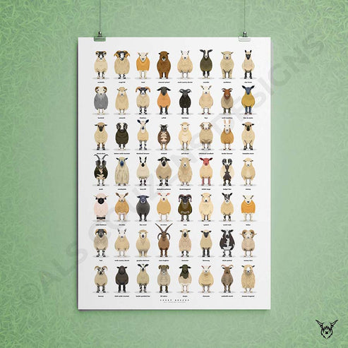 Sheep Breeds Poster – The Sheep Game