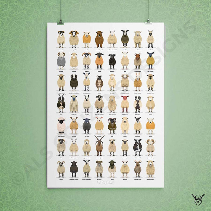 Sheep Breeds Poster – The Sheep Game